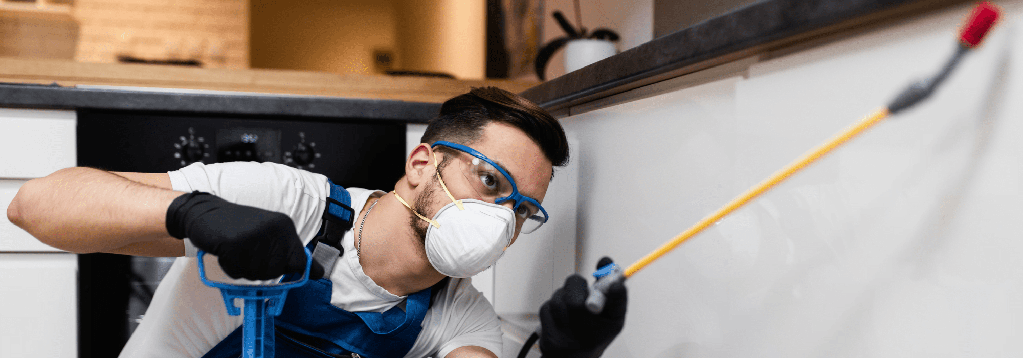 Zwarte kleine beestjes in huis: dit is het en zo lost u het op! - Rimdo.nl